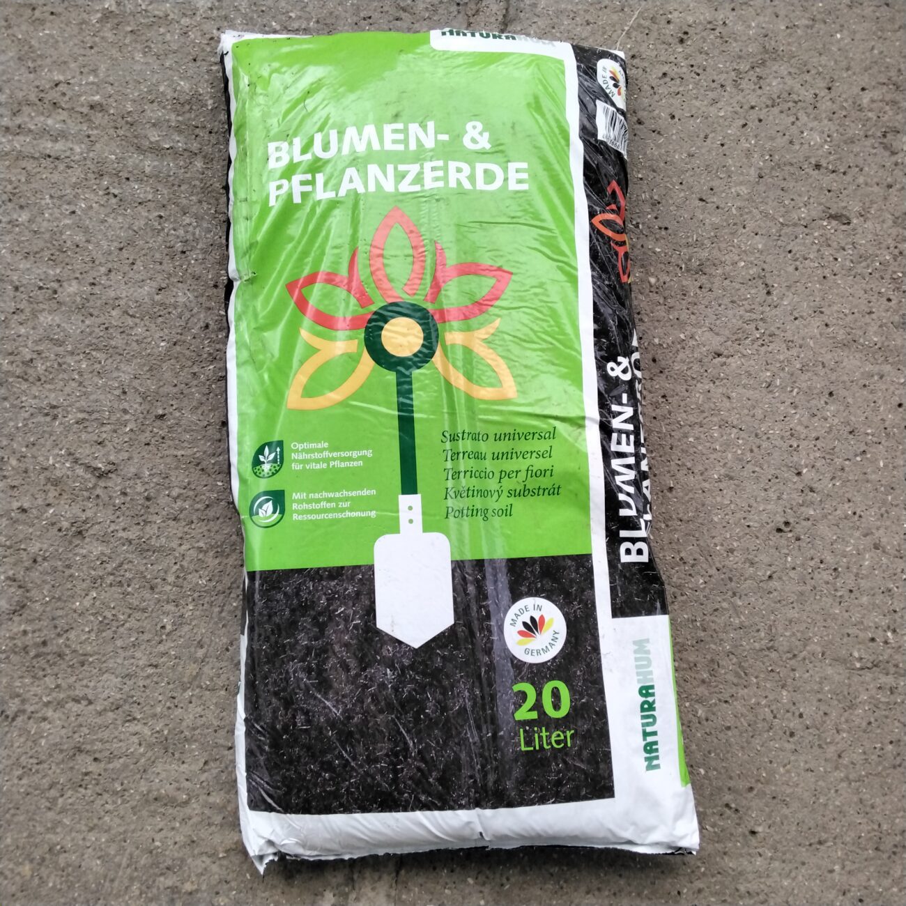 Erde – Blumen Regina