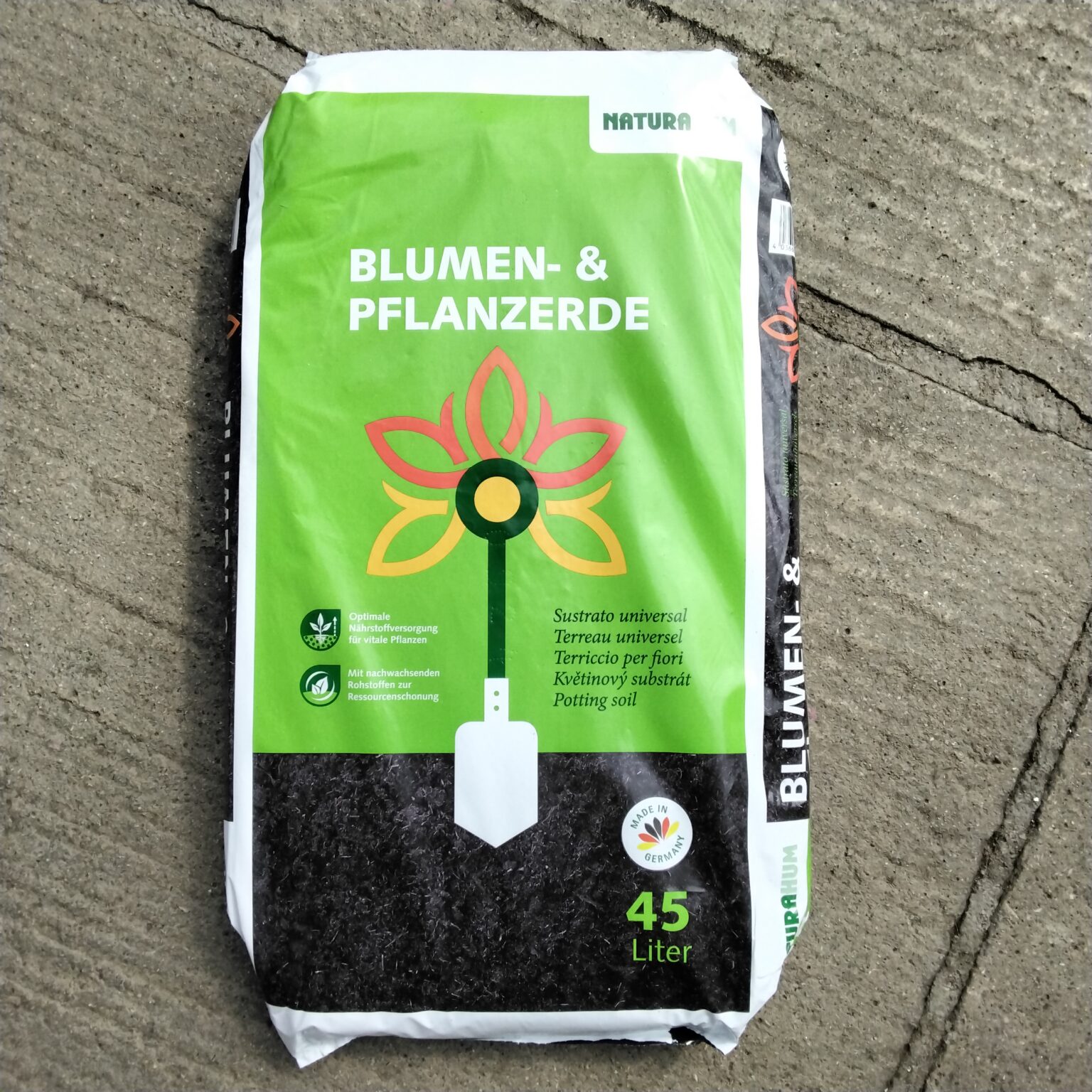 Erde – Blumen Regina